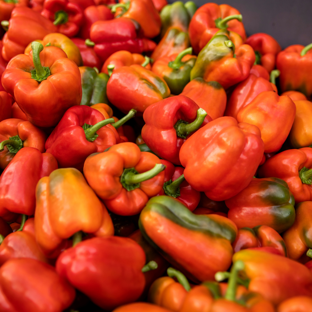 Kwekerij PowerGrow - Rainbow Growers Group