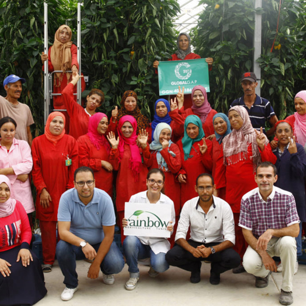 Strong roots - Rainbow Growers Group