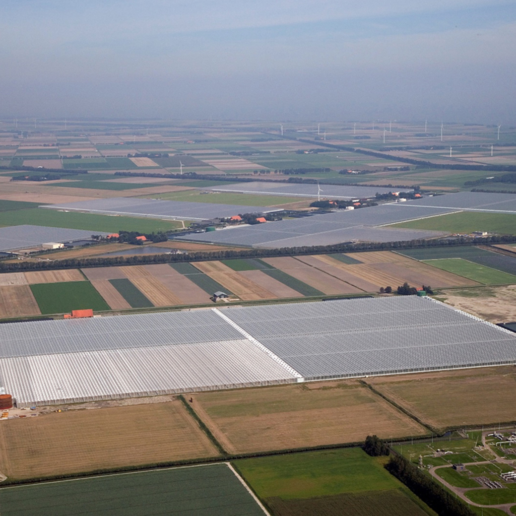 Strong roots - Rainbow Growers Group