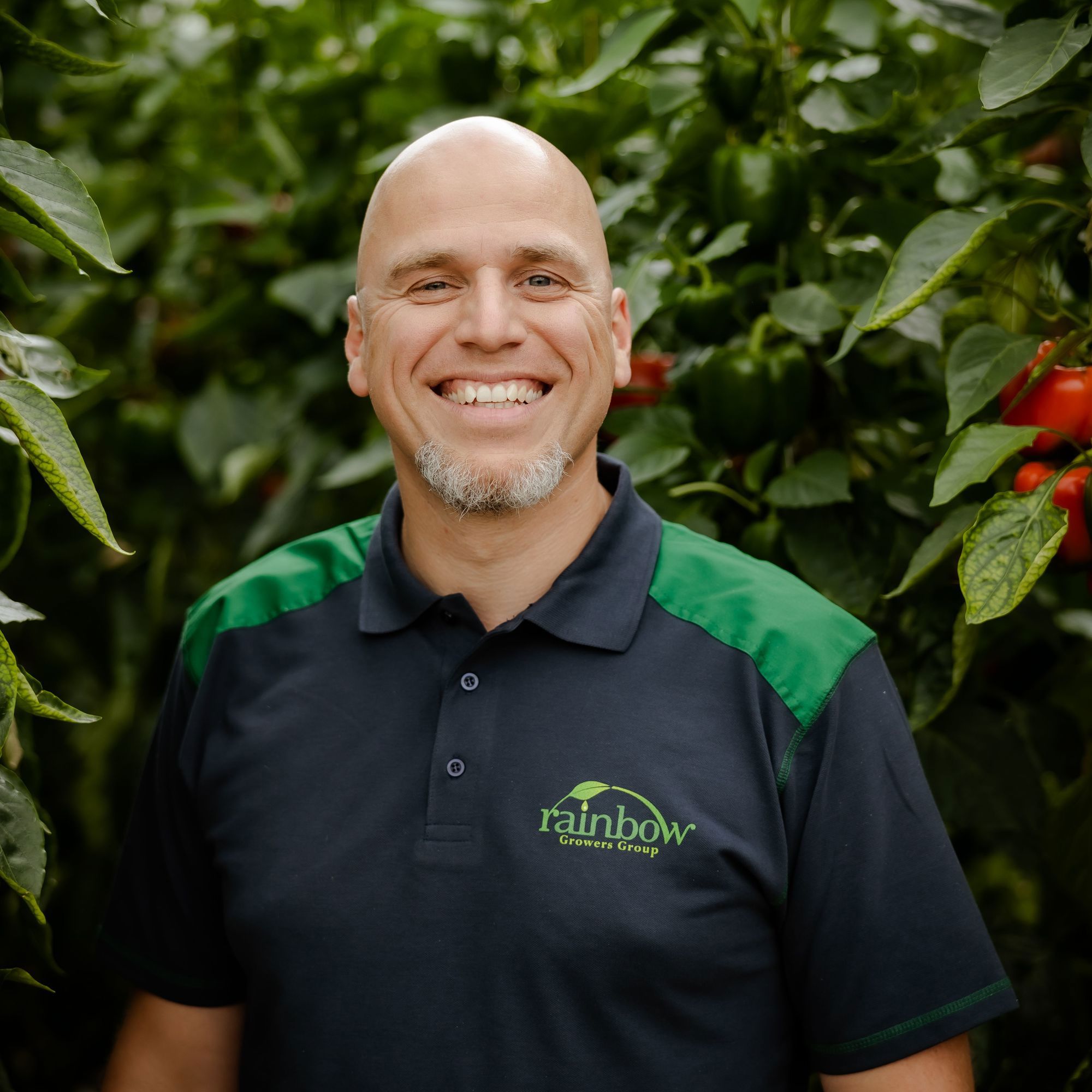 Kwekerij de Wieringermeer - Rainbow Growers Group