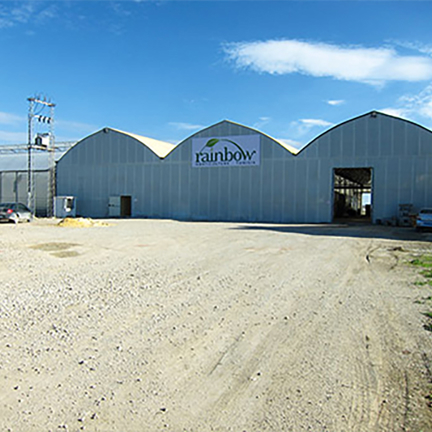 Strong roots - Rainbow Growers Group