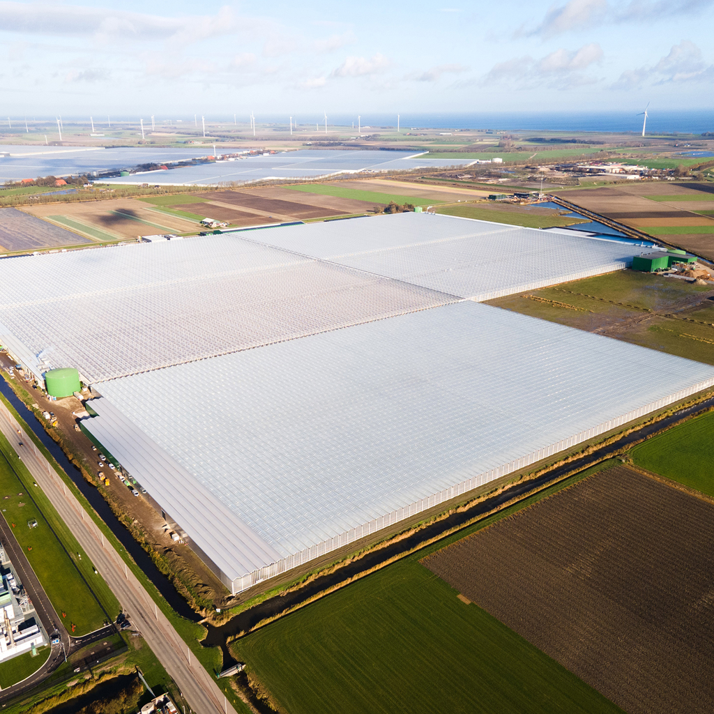 Locations - Rainbow Growers Group