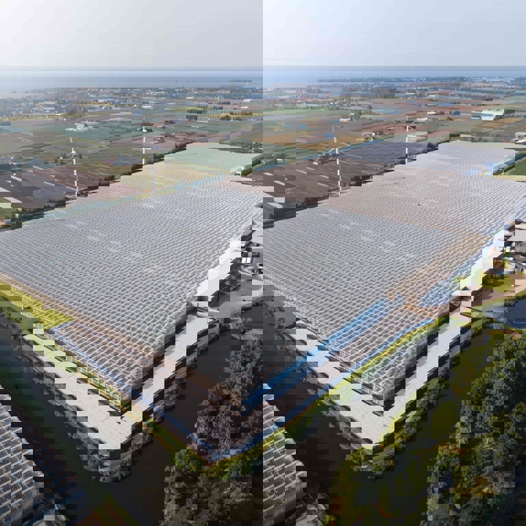 Kwekerij Andijk - Rainbow Growers Group