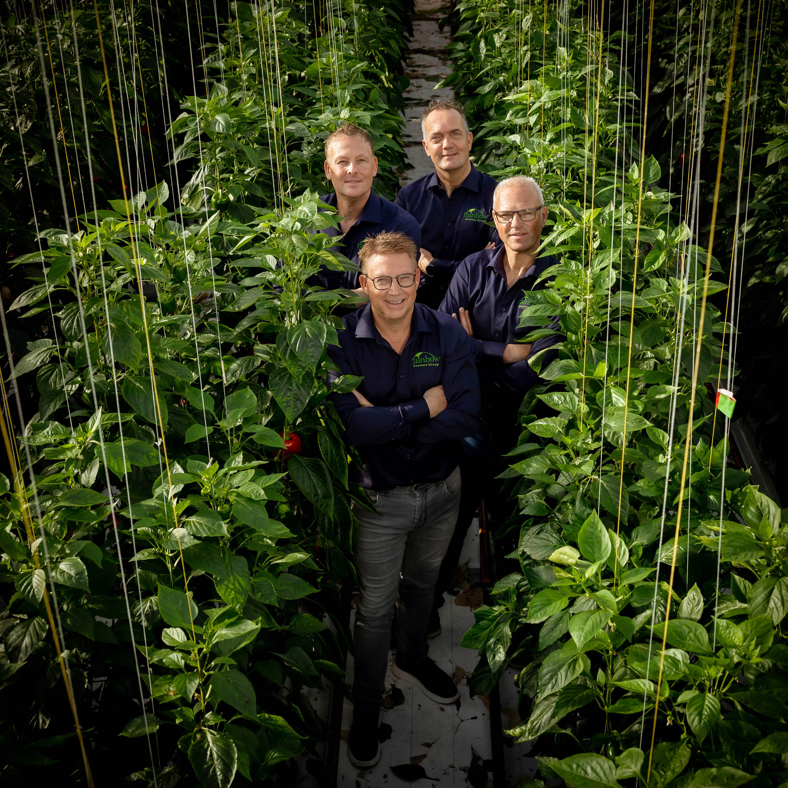 About us - Rainbow Growers Group