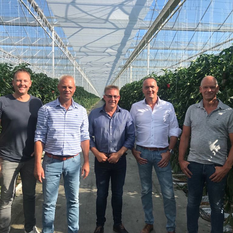 Strong roots - Rainbow Growers Group