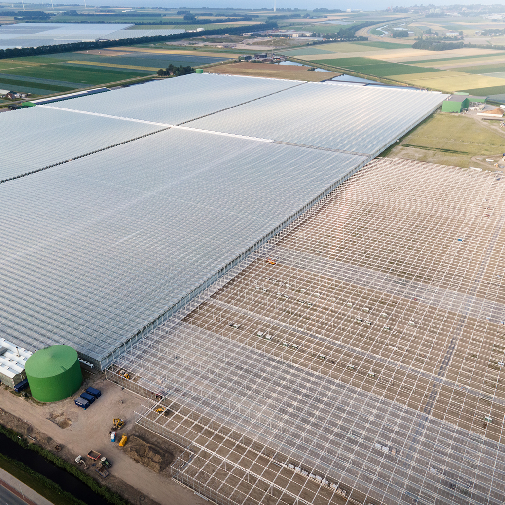 Rainbow Middenmeer - Rainbow Growers Group